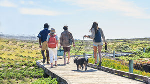 Stanley Drinkware & Gear | Bottles, Tumblers, Growlers & More